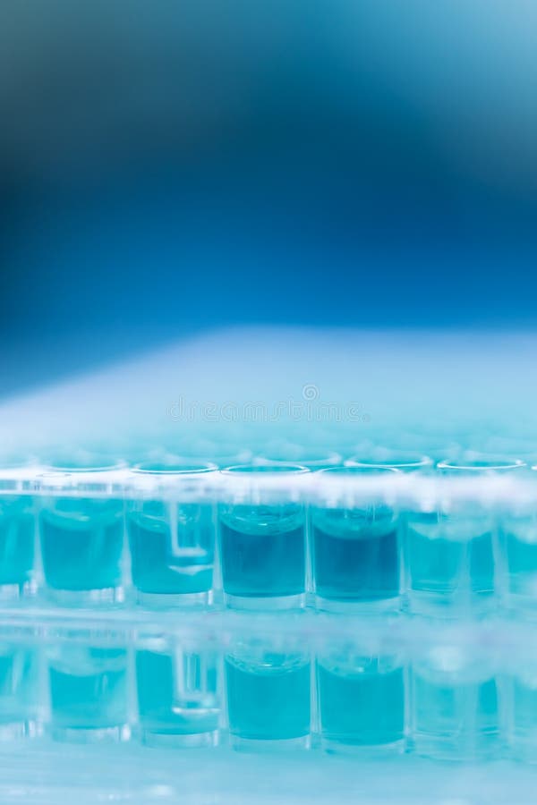 Assay Plate 96 Well with Colourful Buffer Stock Image - Image of ...