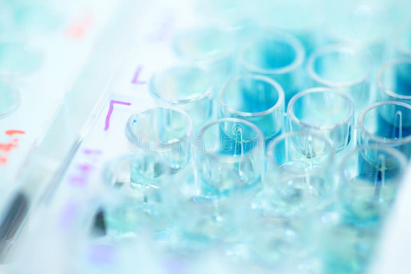 Assay Plate 96 Well with Colourful Buffer Stock Image - Image of ...