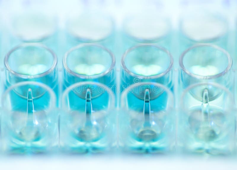 Assay Plate 96 Well with Colourful Buffer Stock Image - Image of ...