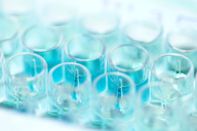 Assay Plate 96 Well with Colourful Buffer Stock Photo - Image of plate ...