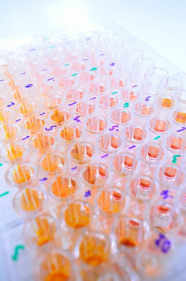 A 96-well microplate stock photo. Image of pharma, silico - 2311472