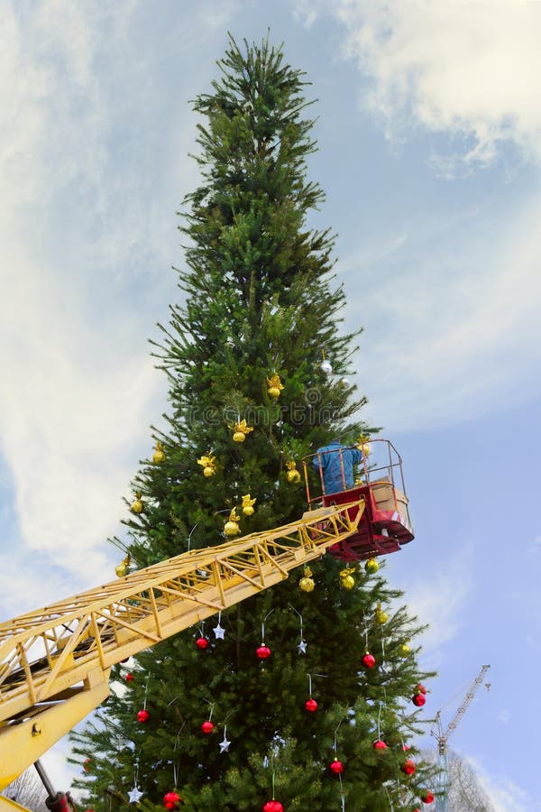Assembling of a Christmas Tree Stock Photo - Image of nice, winter ...