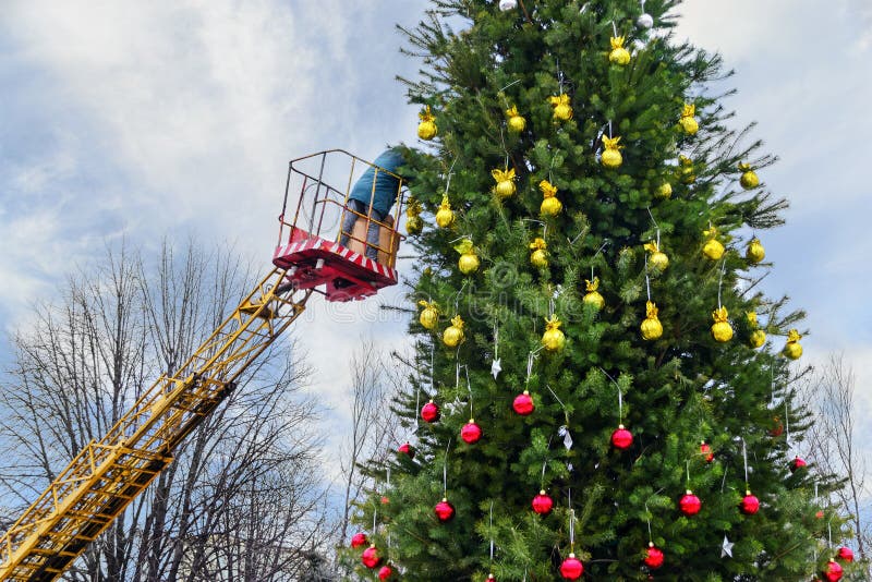 Assembling of a Christmas Tree Stock Image - Image of xmas, assembling ...