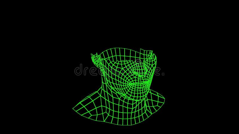 Assembling a Head from Grid Polygons. Mesh 3D Animation Stock Video ...