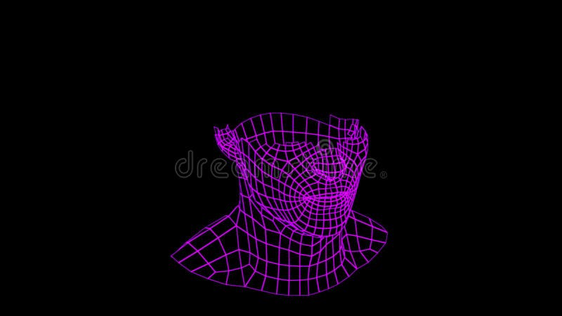 Assembling a Head from Grid Polygons. Mesh 3D Animation Stock Video ...