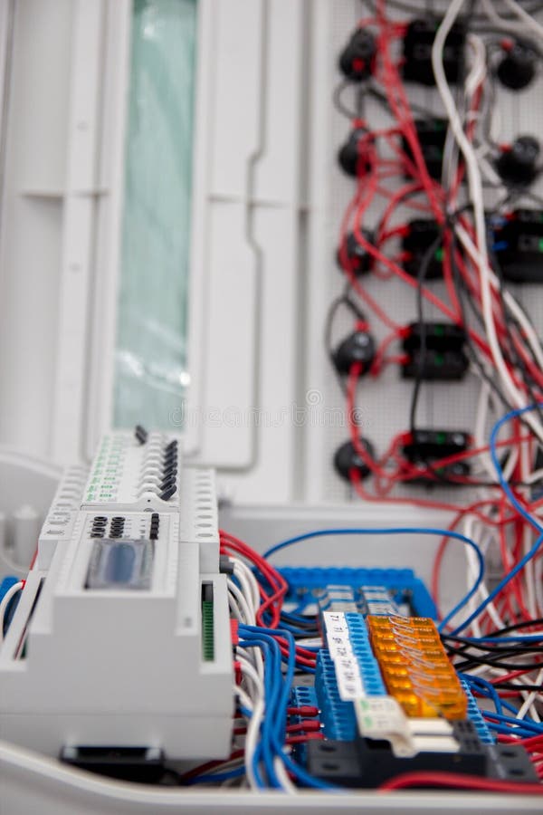 Denis Samoylenko (Dennetsvetaev) - Photographer profile