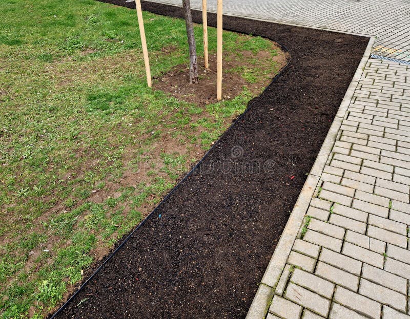 Assembly of Garden Curbs Made of Black Plastic. the Curb Separates ...