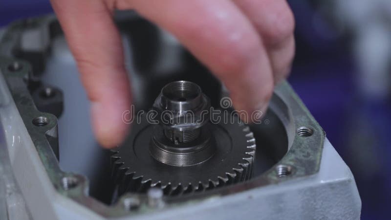 Assembly of the Gearbox, Man Inserts the Gear into the Gearbox. Metal ...