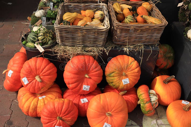 Assen, the Netherlands - August 31st 2022: Decorative Pumpkins ...