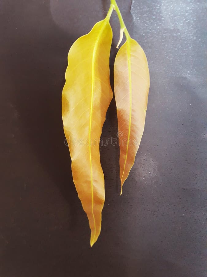 Black Wallpaper 4k Download Android Stock Photos - Free & Royalty-Free ...