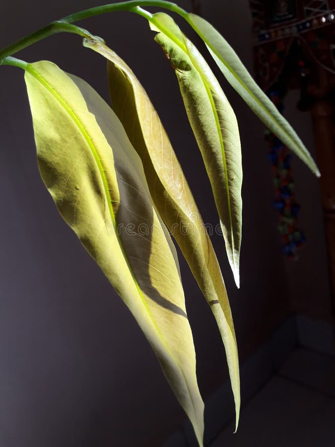 Black Wallpaper 4k Download Android Stock Photos - Free & Royalty-Free ...