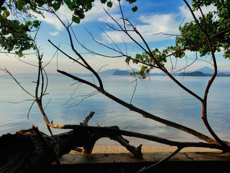 Blue Lanscape Behind the Tree Branches, Bangka Island, Sulawesi Stock ...