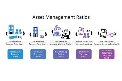 Asset Management Ratios or Asset Turnover Ratios or Asset Efficiency ...