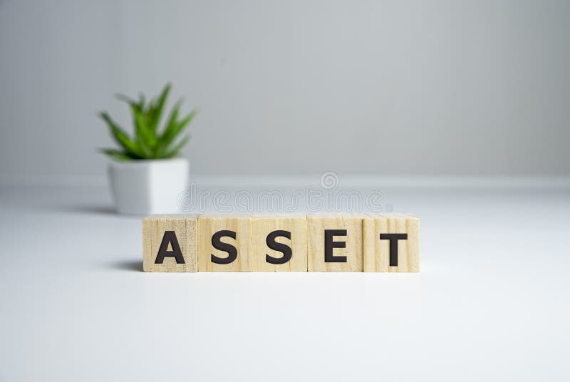 ASSET Word Made with Building Blocks Isolated on White Stock Image ...