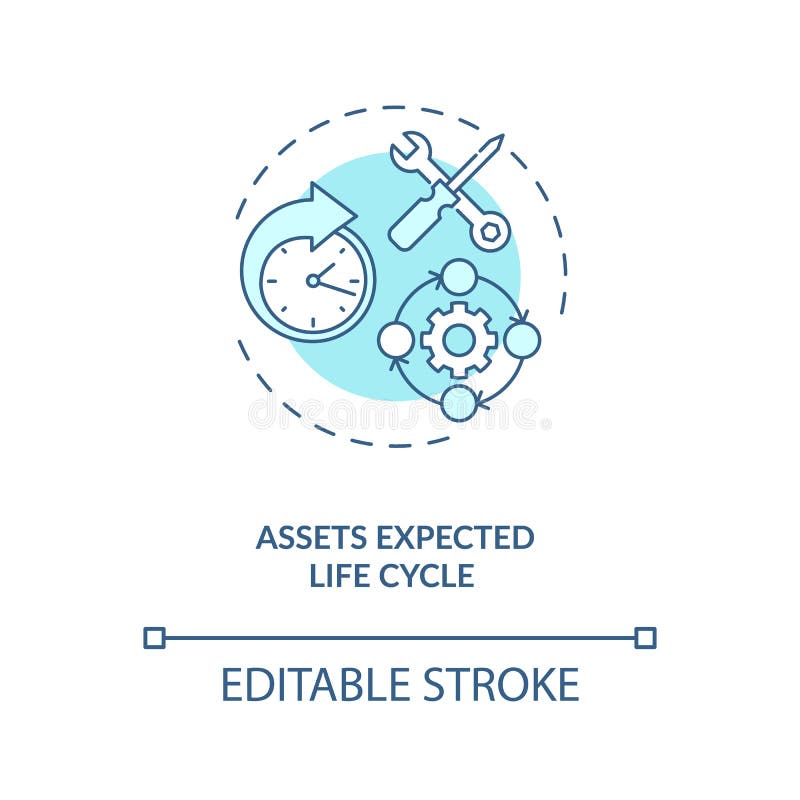 Assets Expected Life Cycle Concept Icon Stock Illustration ...