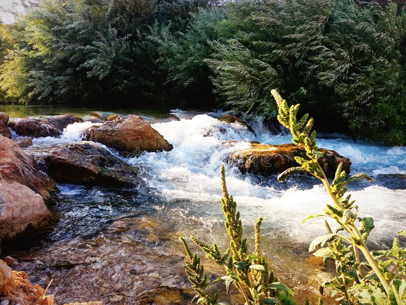 The Assi River, A beautiful picture of the assi river at