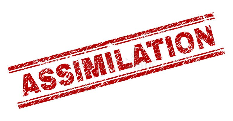 Assimilation word cloud stock vector. Illustration of education - 146576389