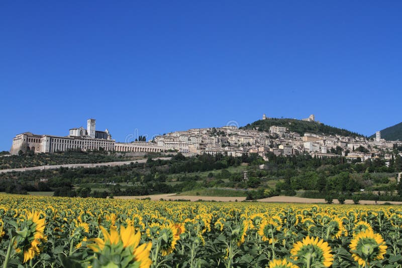 Assisi Panorama with Sunflowers Stock Image - Image of cloudy ...