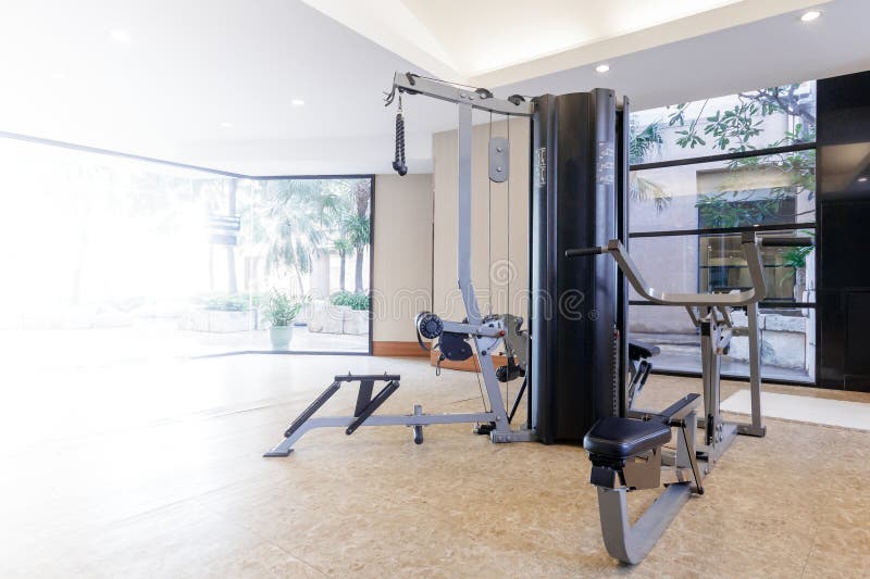 Assisted Chin Machine in Gyms Stock Photo - Image of back, layer: 305205696