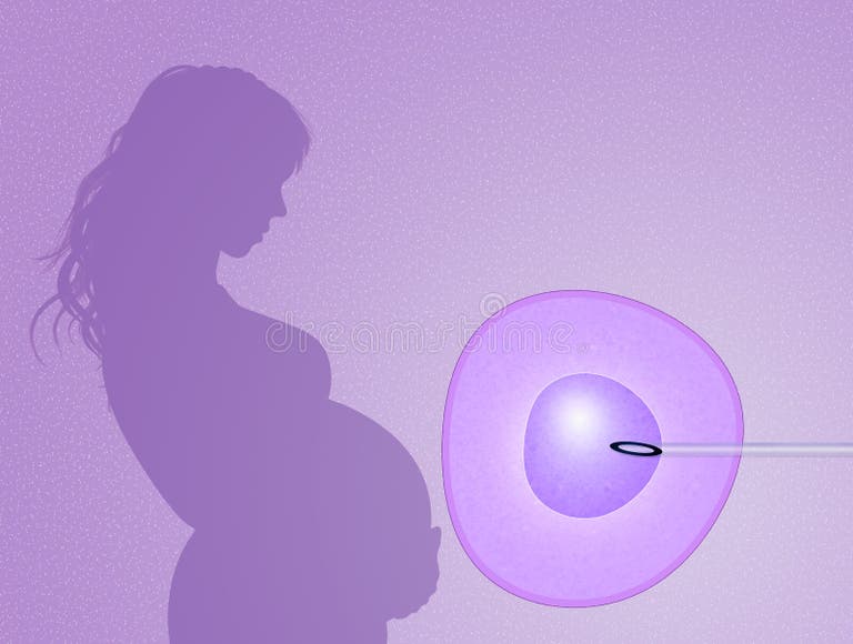 Assisted reproduction stock illustration. Illustration of ovulation ...