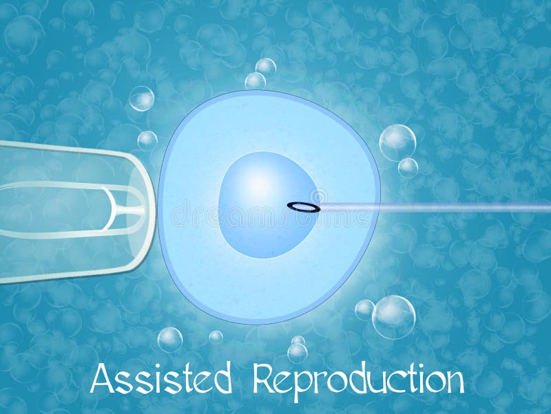 Human Reproduction Stock Illustrations – 6,152 Human Reproduction Stock ...