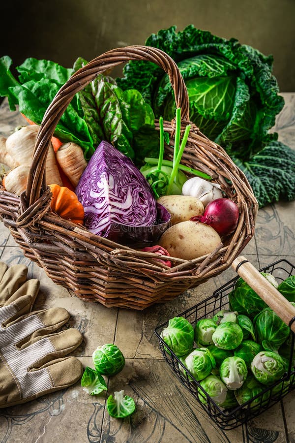 Assorted Autumn and Winter Vegetables in a Basket Stock Image - Image ...