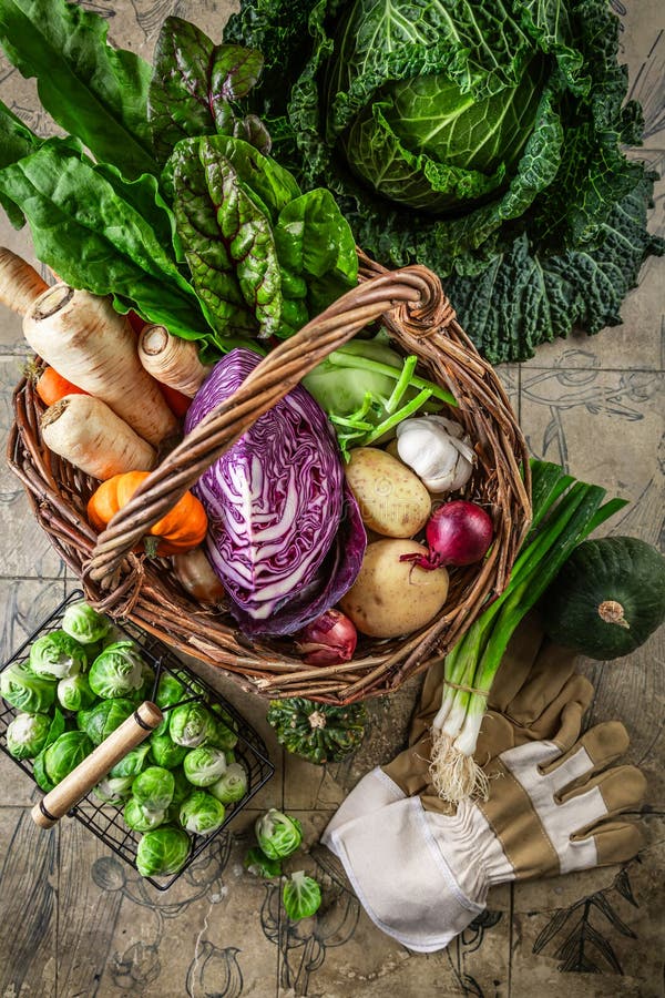 Assorted Autumn and Winter Vegetables on Kitchen Table, Harvesting and ...
