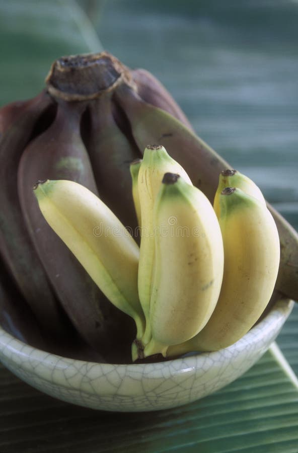 Assorted bananas stock photo. Image of variety, mini - 23706012