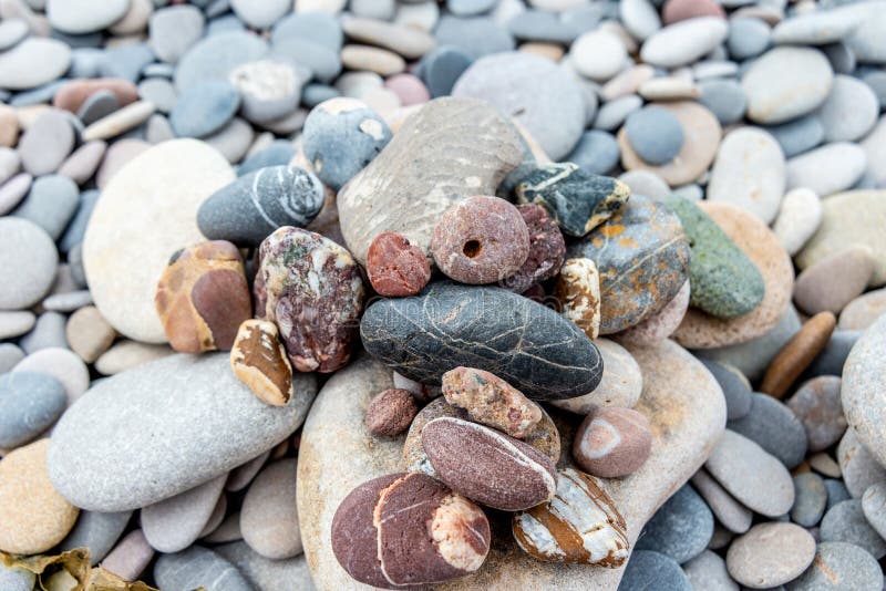 Assorted Beach Pebbles of Various Colors and Shapes Stock Image - Image ...