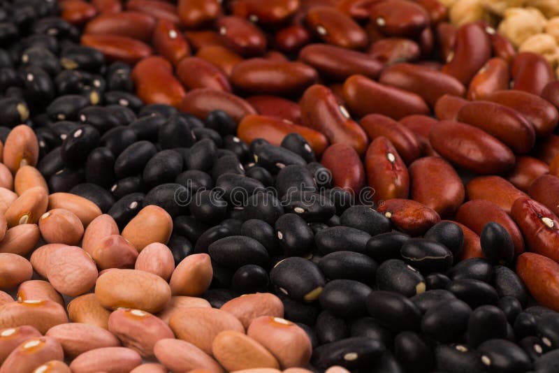 Assorted beans stock photo. Image of energy, meal, oval - 32821826