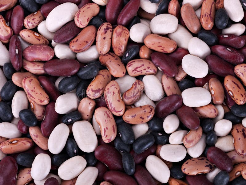 Assorted beans - macro stock image. Image of detail, beans - 18150119