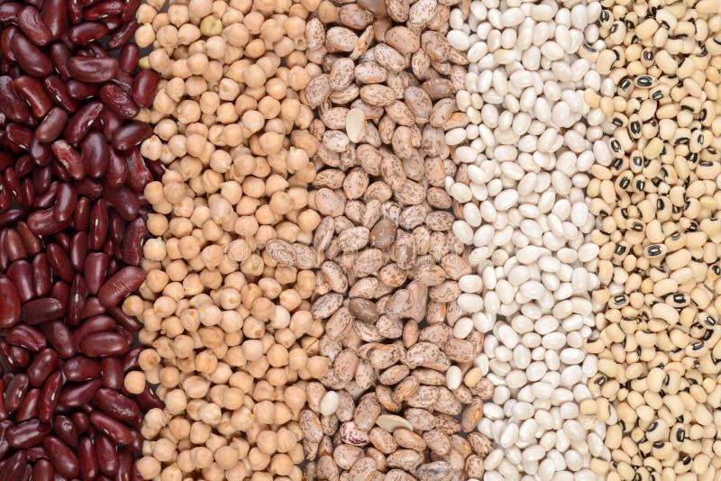 Assorted beans in a row stock image. Image of healthy - 49959993