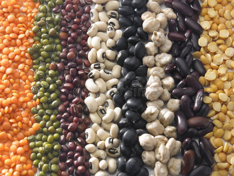 Assorted beans stock photo. Image of ingredient, assorted - 63904950