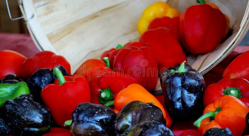 Assorted bell peppers. stock photo. Image of food, organic - 168025548