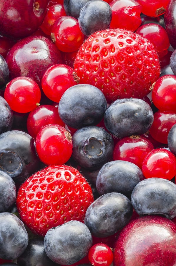 Assorted berries stock image. Image of macro, focus, redberry - 25903459