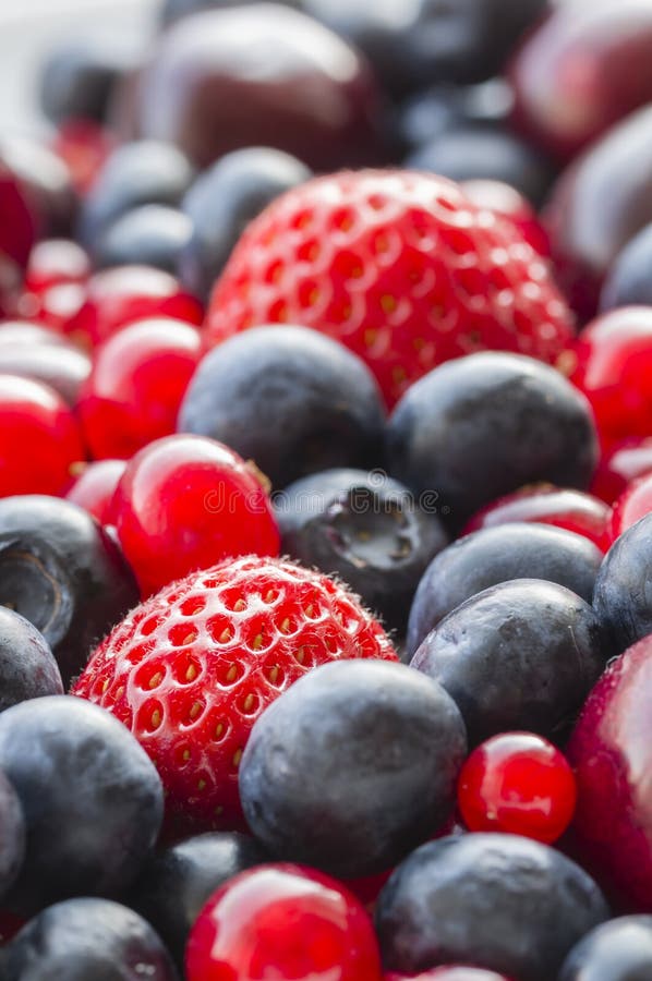 Assorted berries stock image. Image of field, fruit, depth - 25903535