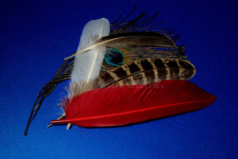 Craft Feathers Assorted Colors Stock Photos - Free & Royalty-Free Stock ...