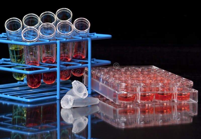 Assorted Chemicals and Tubes Stock Image - Image of biochemistry, tubes ...