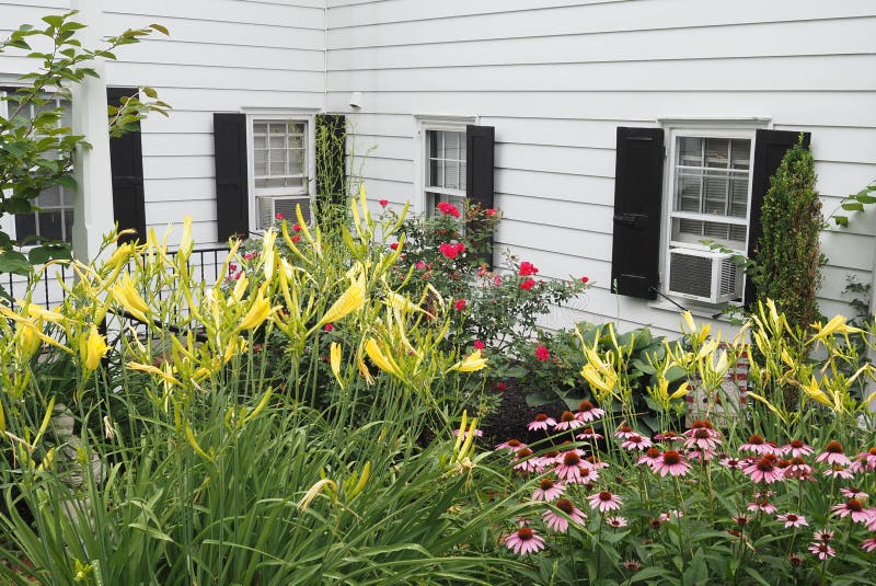 Assorted color of roses stock photo. Image of purple - 25335920