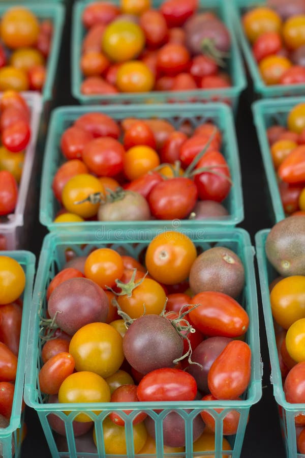 Assorted Color Tomatoes stock photo. Image of diversity - 62556268