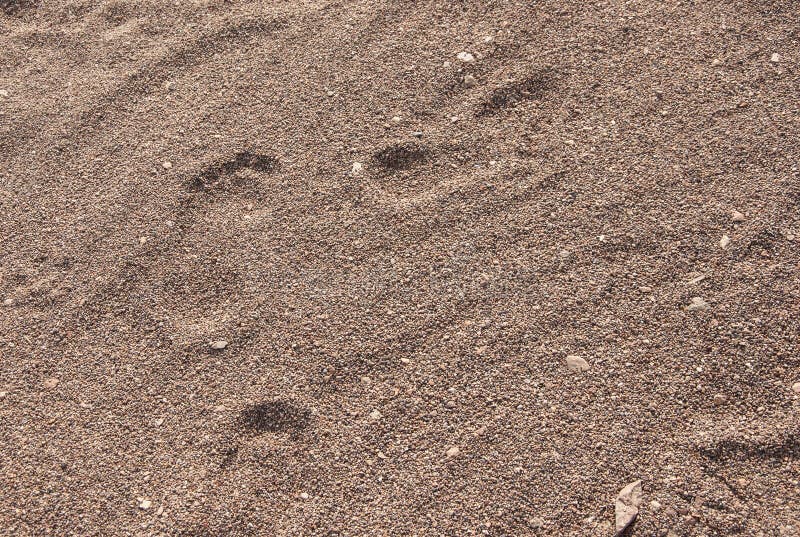 Assorted Colorful and Smooth Pebbles from the Beach Stock Image - Image ...