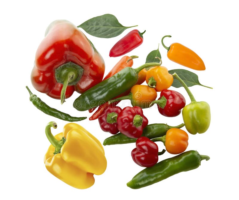 Assorted Colorful Varieties of Hot and Sweet Peppers Isolated on White ...