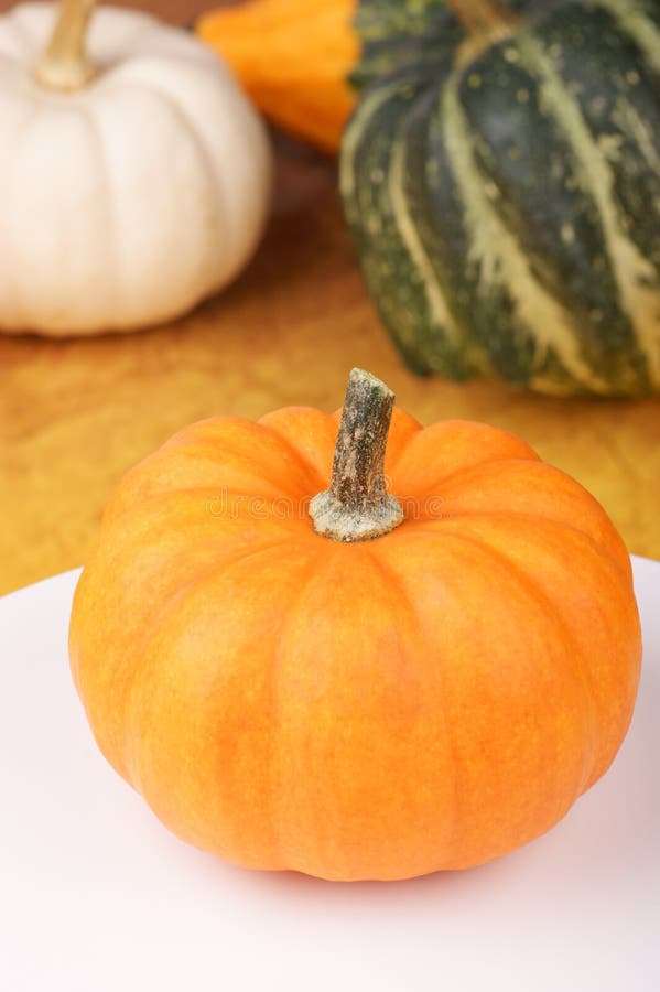 Assorted Decorative Pumpkins Stock Image - Image of vegetable, food ...
