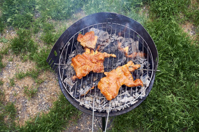 Assorted Delicious Grilled Meat Over the Coals on Barbecue Stock Photo ...