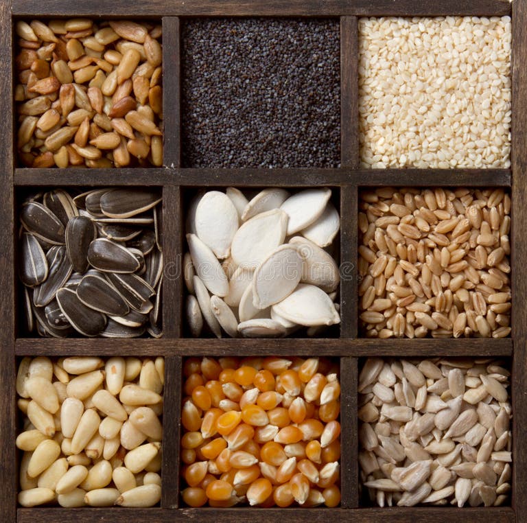 Assorted Edible Seeds Arranged in a Box Stock Image - Image of bowl ...