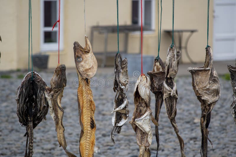 825 Drying Fish Rack Stock Photos - Free & Royalty-Free Stock Photos ...