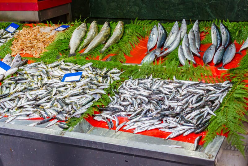 Assorted Fish at Market for Sale Stock Image - Image of fish, business ...