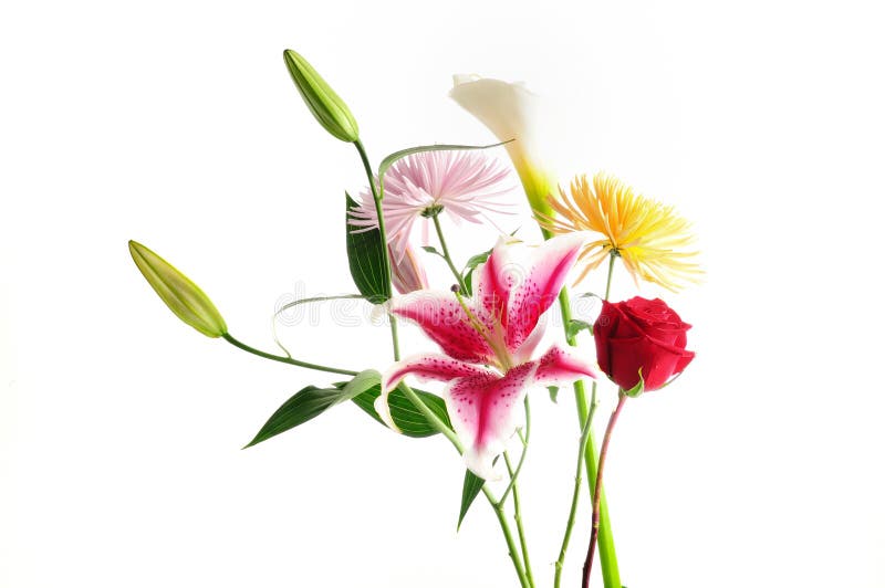 Assorted floral bouquet stock image. Image of group, fresh - 6418163