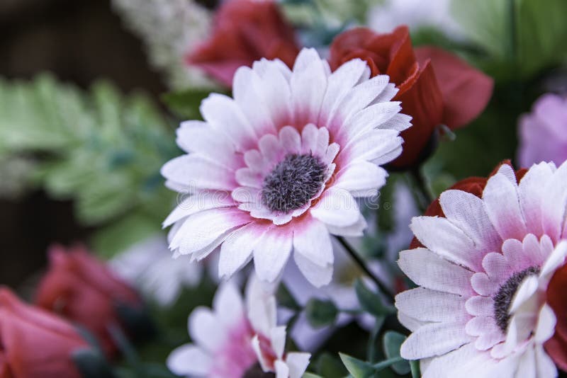 Assorted flower bouquets stock photo. Image of anniversary - 242129032