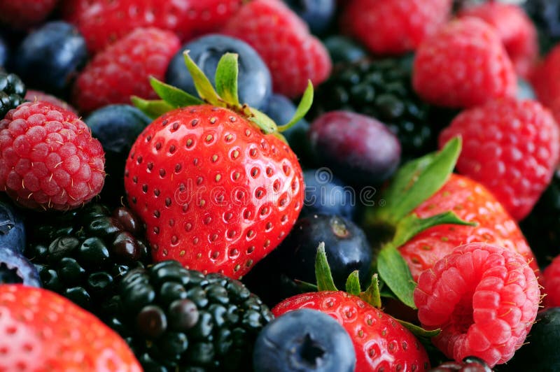 Assorted fresh berries stock image. Image of details, detail - 5182953